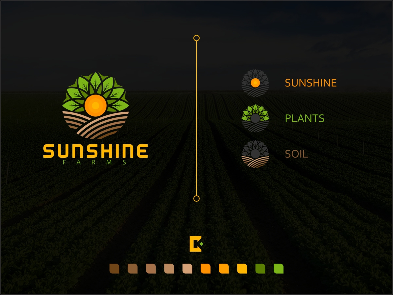 SUNSHINE FARMS by catok kawet on Dribbble