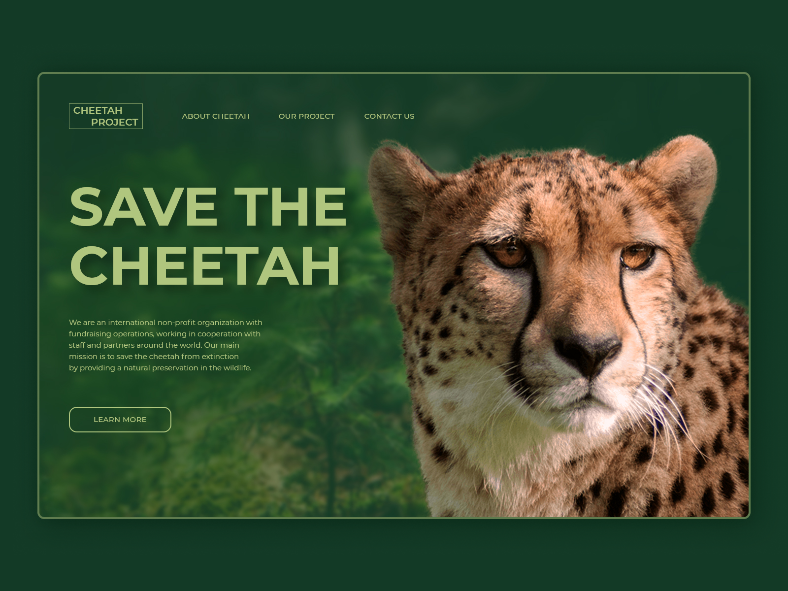 Cheetah Design Concept by Elizabeth Nova on Dribbble