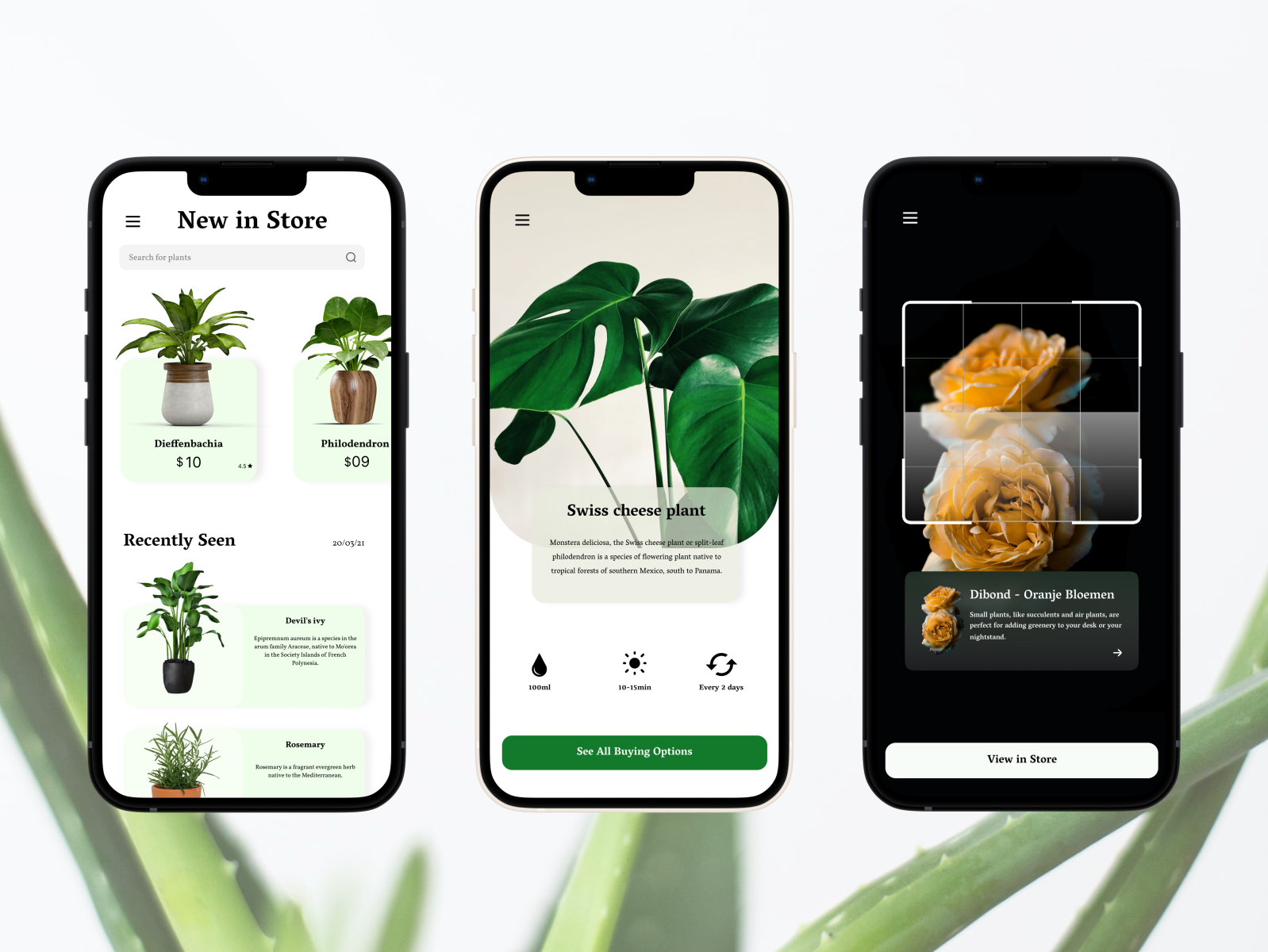 Plana Is A Mobile App To Identify Plants Around You By Abhishek Lavhale Plana Is A Mobile App To Identify Plants Around You By Abhishek Lavhale