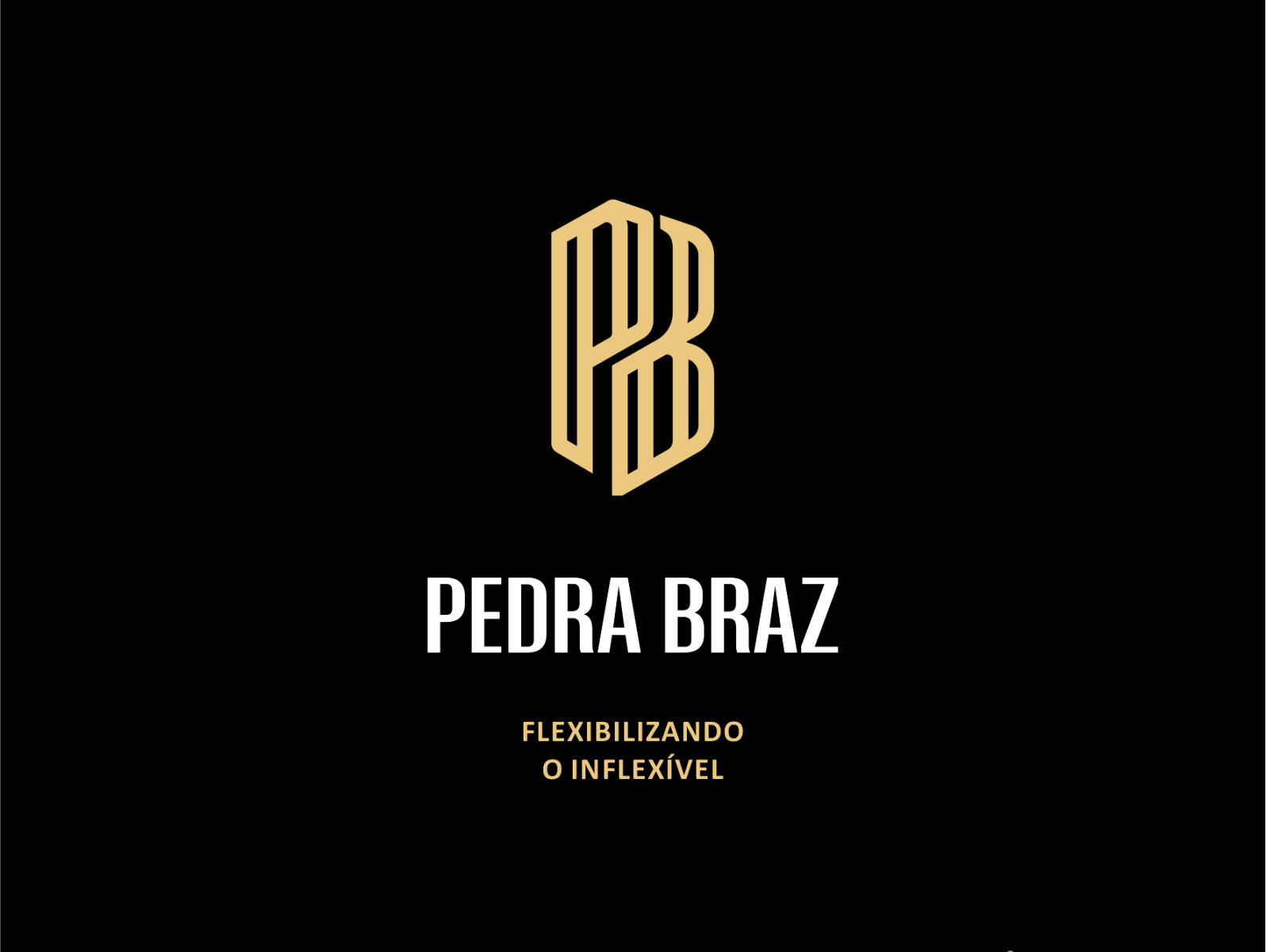Logo for a Brazilian flexible stone company by Vladimir Pechonkin on ...