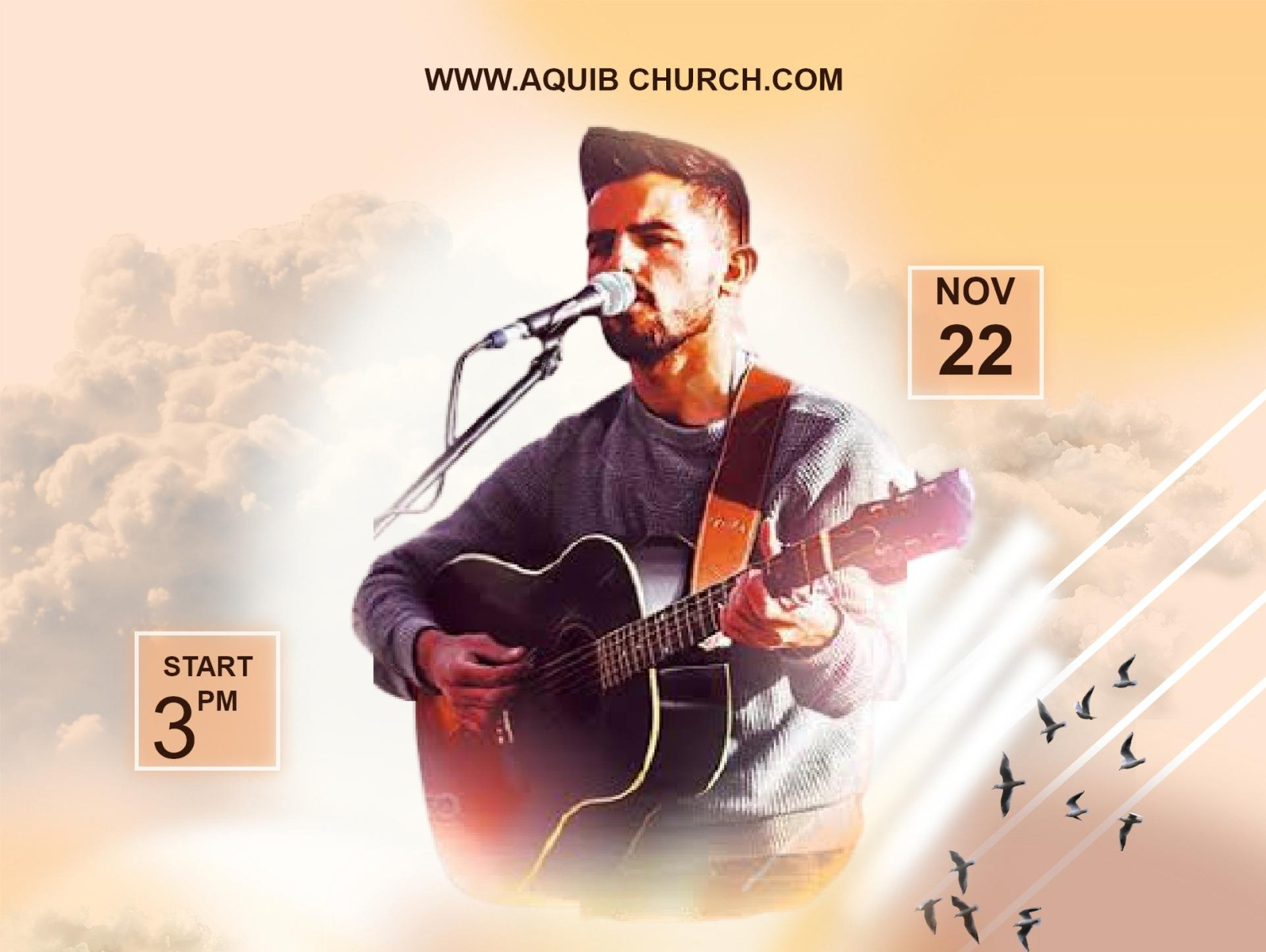 Concert banner by Aquib Ansari on Dribbble