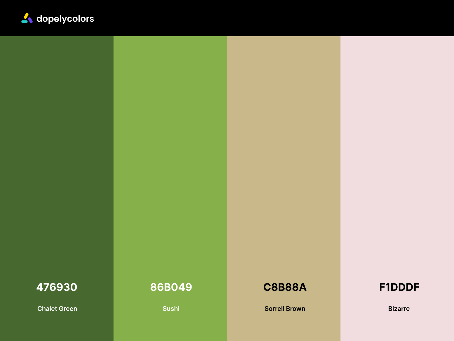 Daily Color Palette by Dopely on Dribbble