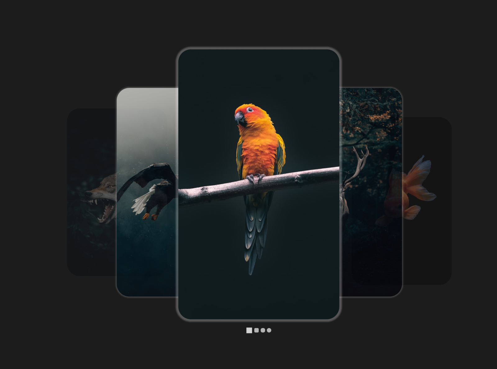 DailyUI 72 - Image Slider by Sri Cherry on Dribbble