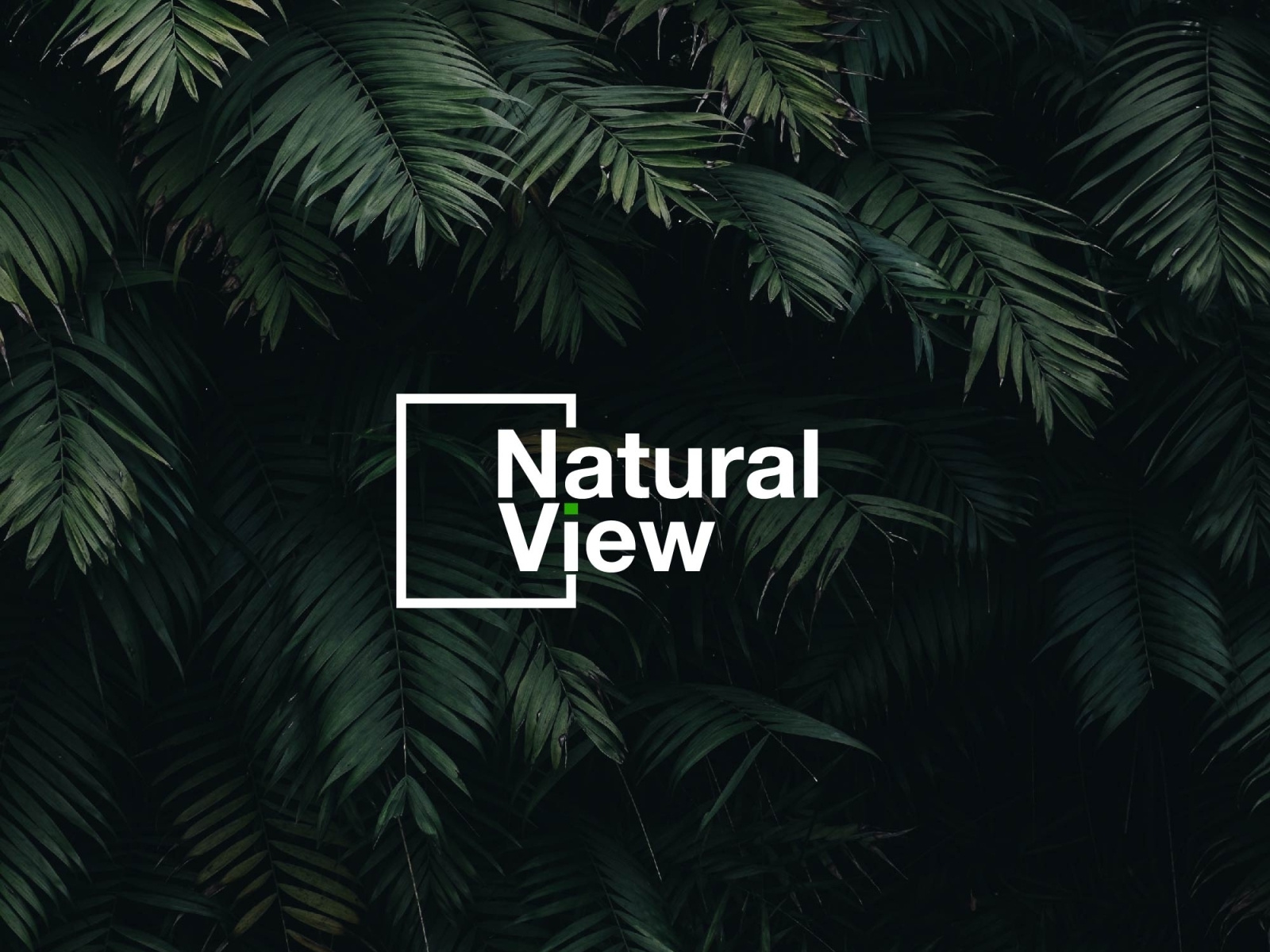 Natural Logo by Shamsuddin Ahmed on Dribbble