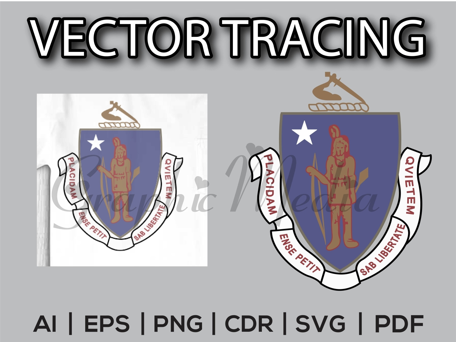 Log res Image to Hi res Vector image to vector vector tracing by Tushar ...