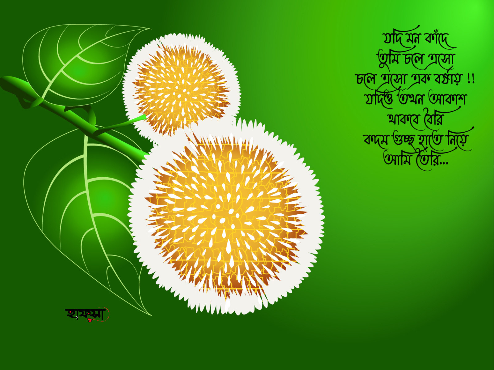 Kodom Ful by Hafsa Sultana on Dribbble