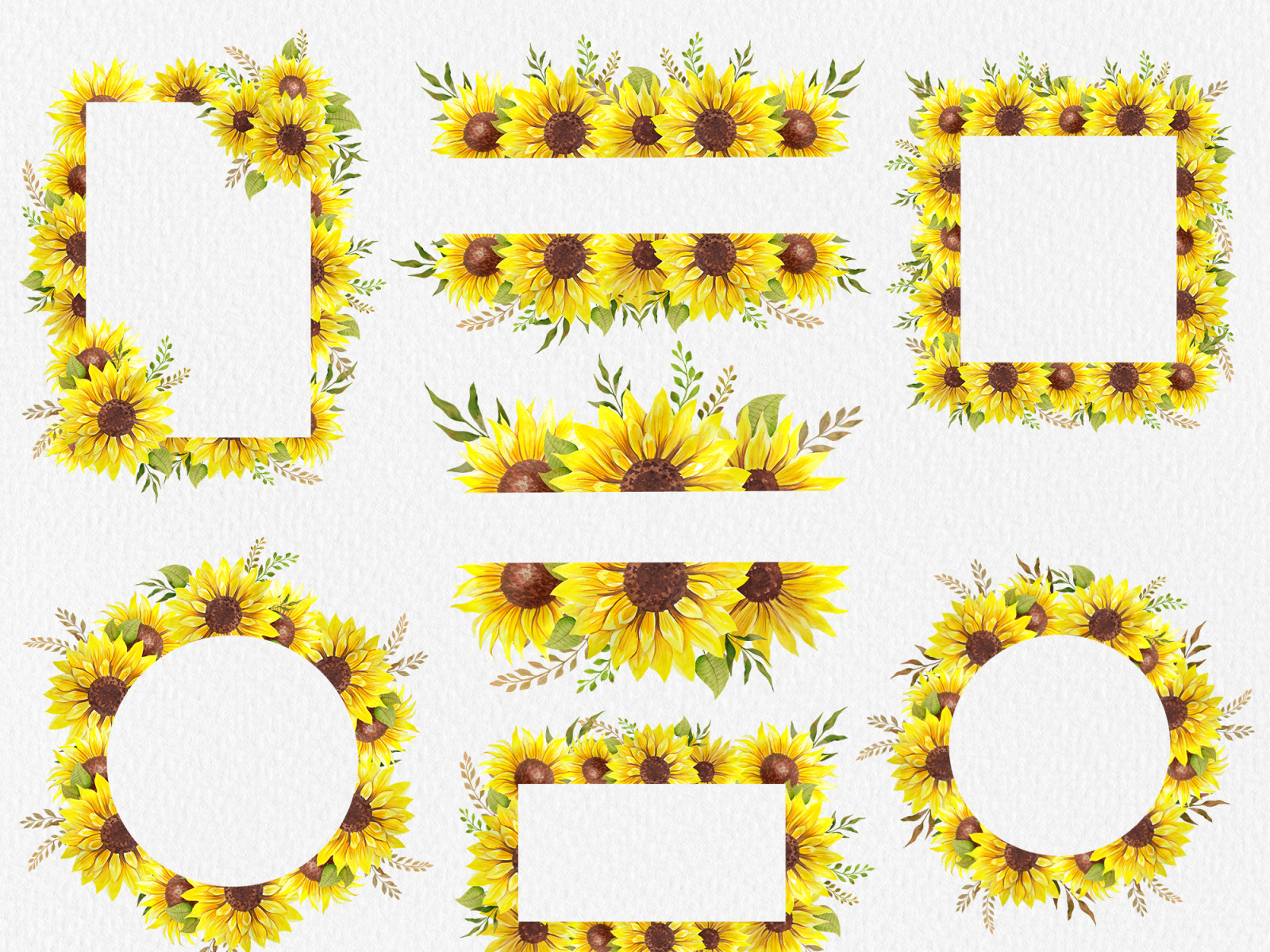 Watercolour Sunflower Frames by Xenia Caraulan on Dribbble