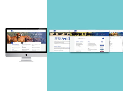 BREEDPLAN web mockup by Maddy Taylor on Dribbble