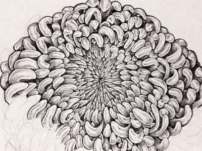 Tattoo 2 by Sam Dunn on Dribbble