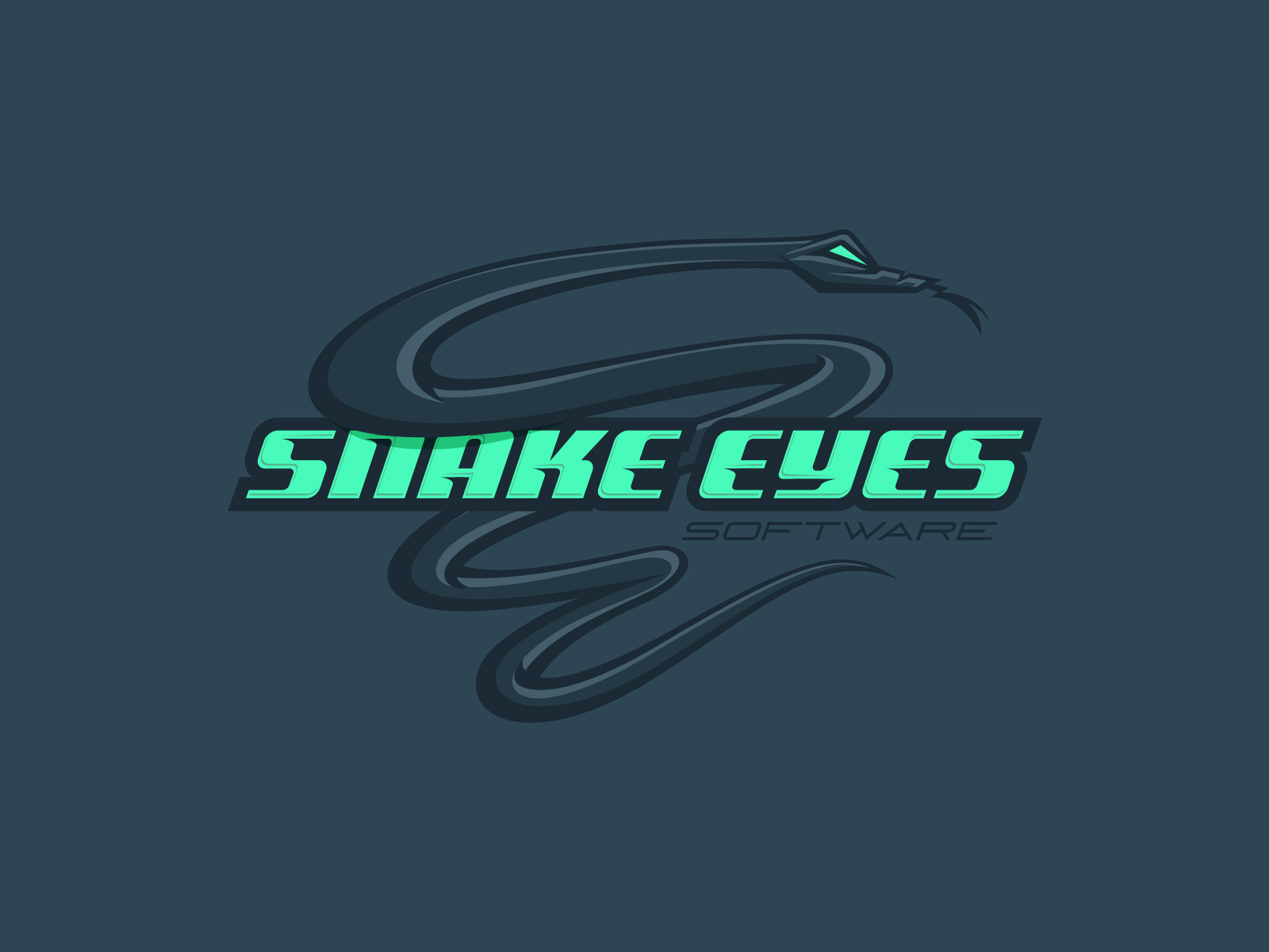 Snake Eyes Software 01 by atomicvibe design lab on Dribbble