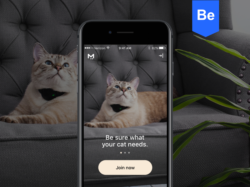 The Mobile App For Cats. Behance Case by Yuri Lence on Dribbble