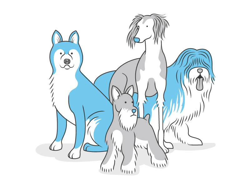 Data Dogs 2 by Matt Beynon on Dribbble