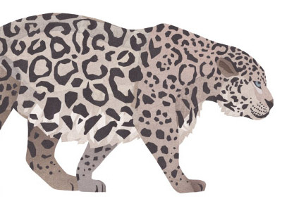 Snow Leopard by Jonathan Woodward on Dribbble