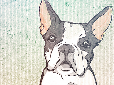 Dylan - Detail by Miguel Cardona on Dribbble