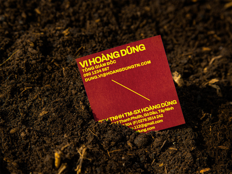 Hoang Dung name card | by xolve branding by xolve branding on Dribbble