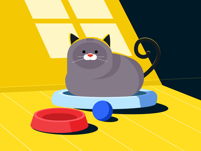 Weekend Cat by Ercan Nailoğlu on Dribbble