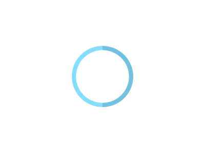 Secure Loader 2 by Zane Corn on Dribbble