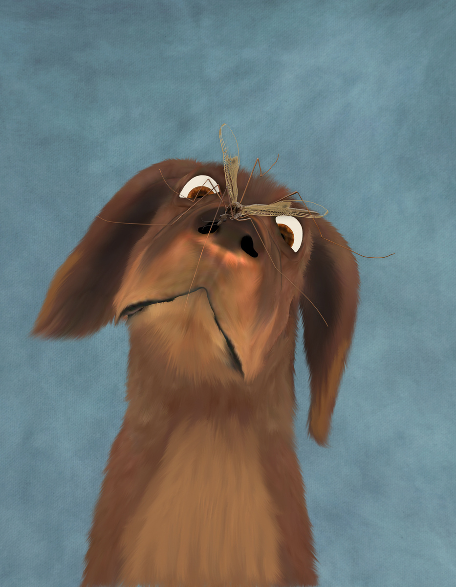 Rusty's Friend by Christina Cartwright on Dribbble