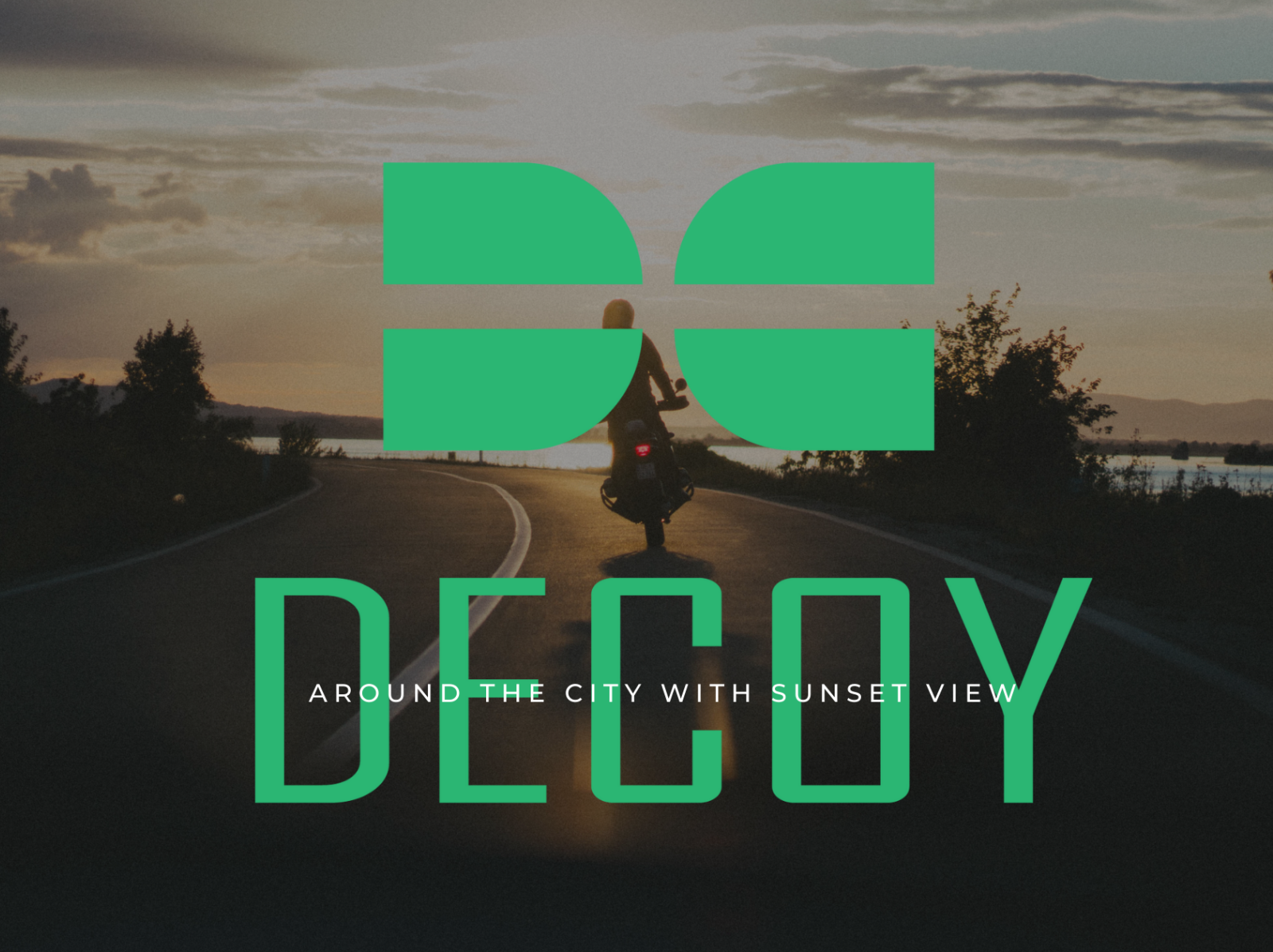 Decoy An E bike Company By Demultiverse On Dribbble decoy-an-e-bike-company-by-demultiverse-on-dribbble