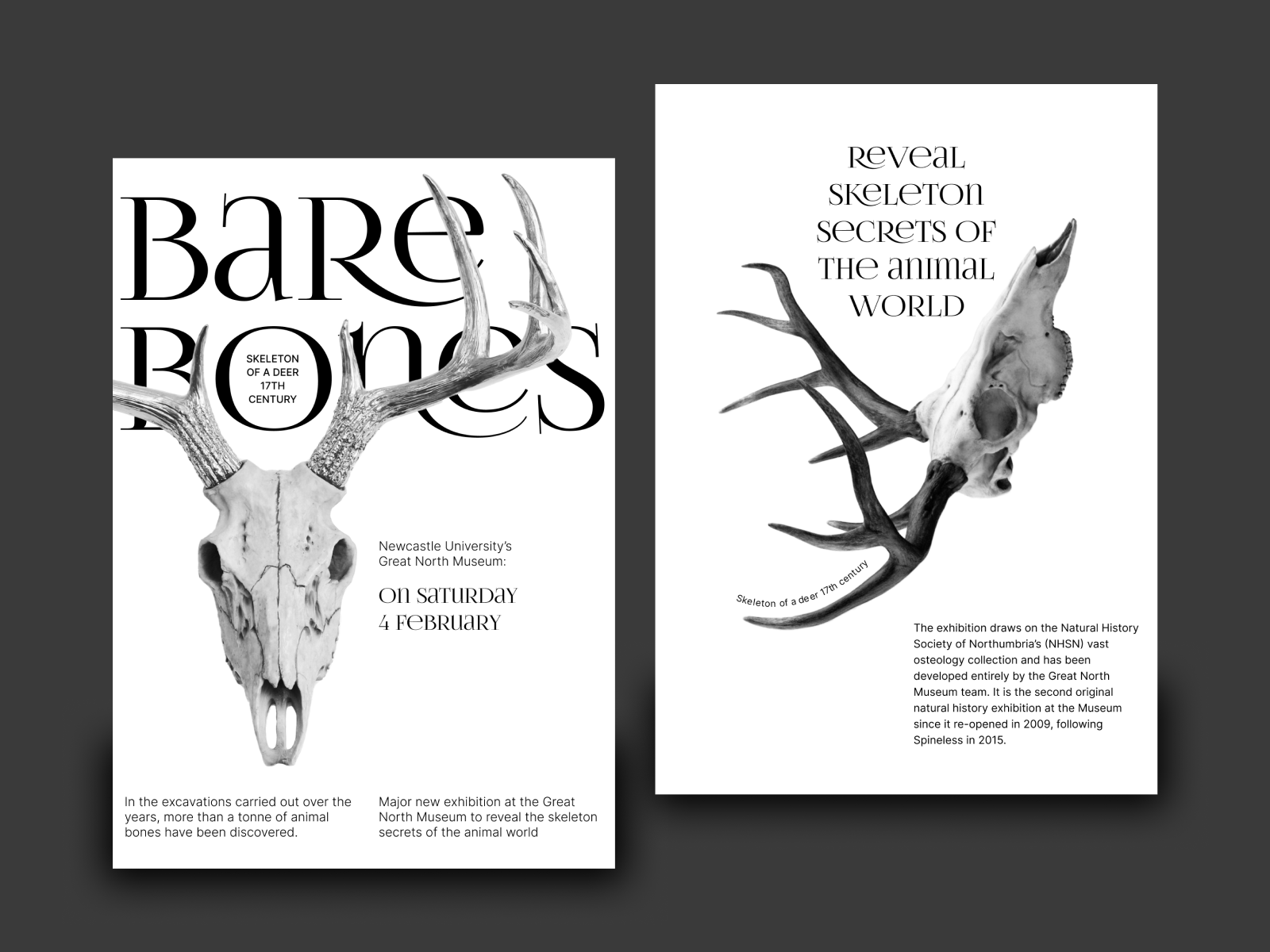Bare bones exhibition | Poster by Карина Шургая on Dribbble