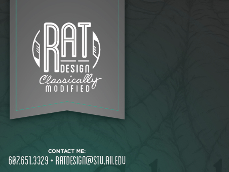 Flash Portfolio By Rat Barse On Dribbble