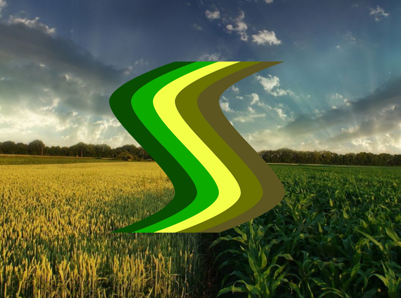 Saskatchewan by Scott Verchin on Dribbble