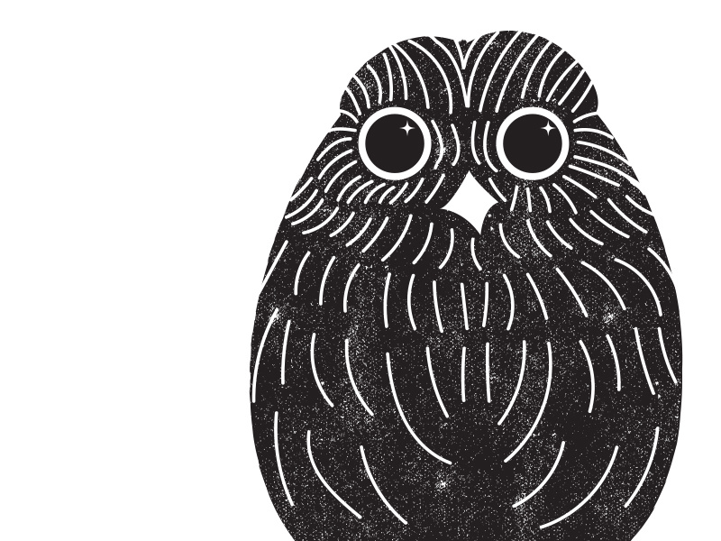 Space Owl by Kelly Stahn on Dribbble