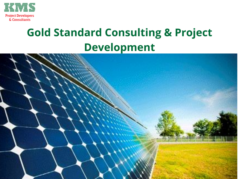 Dribbble - Gold Standard Consulting & Project Development.png by kms group