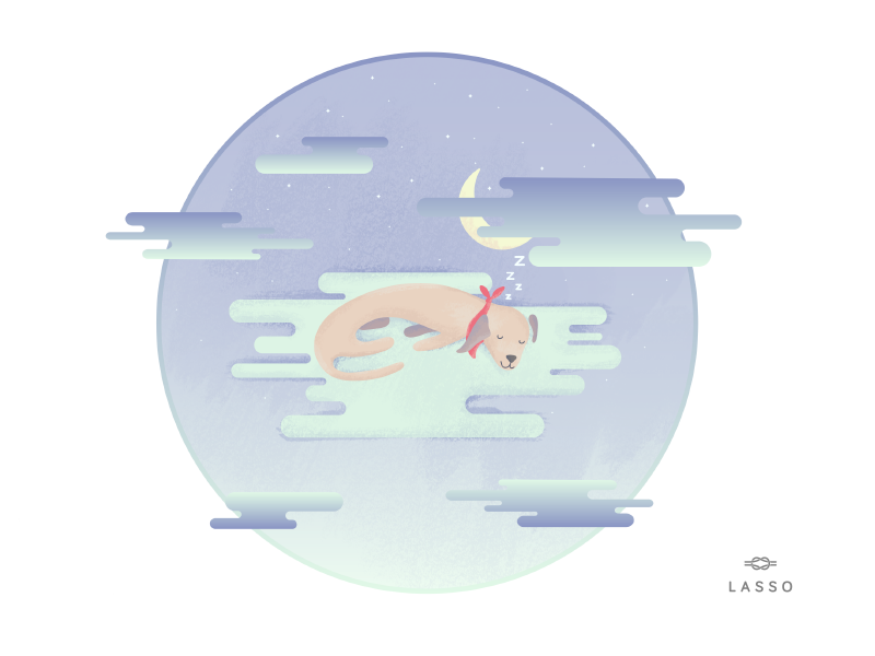 Lasso Love by Natalia Zaitseva on Dribbble