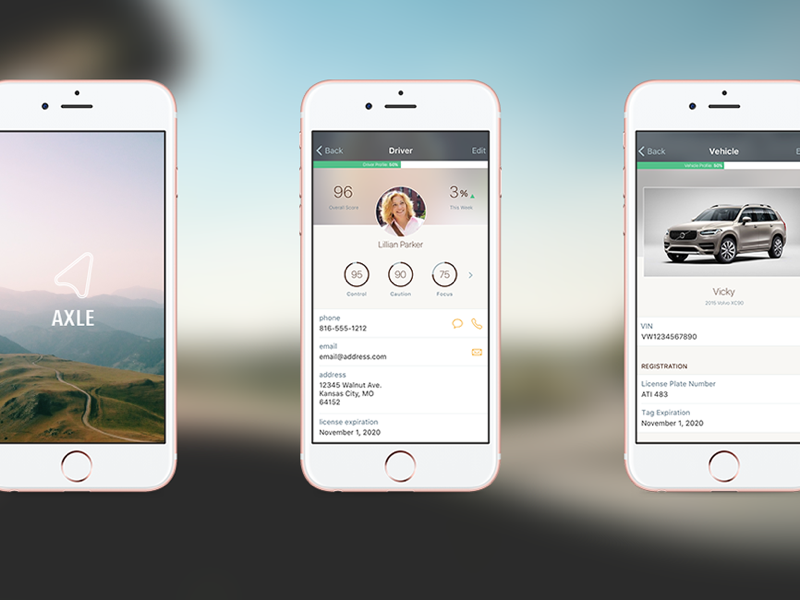 Driver profile by Annalisa on Dribbble