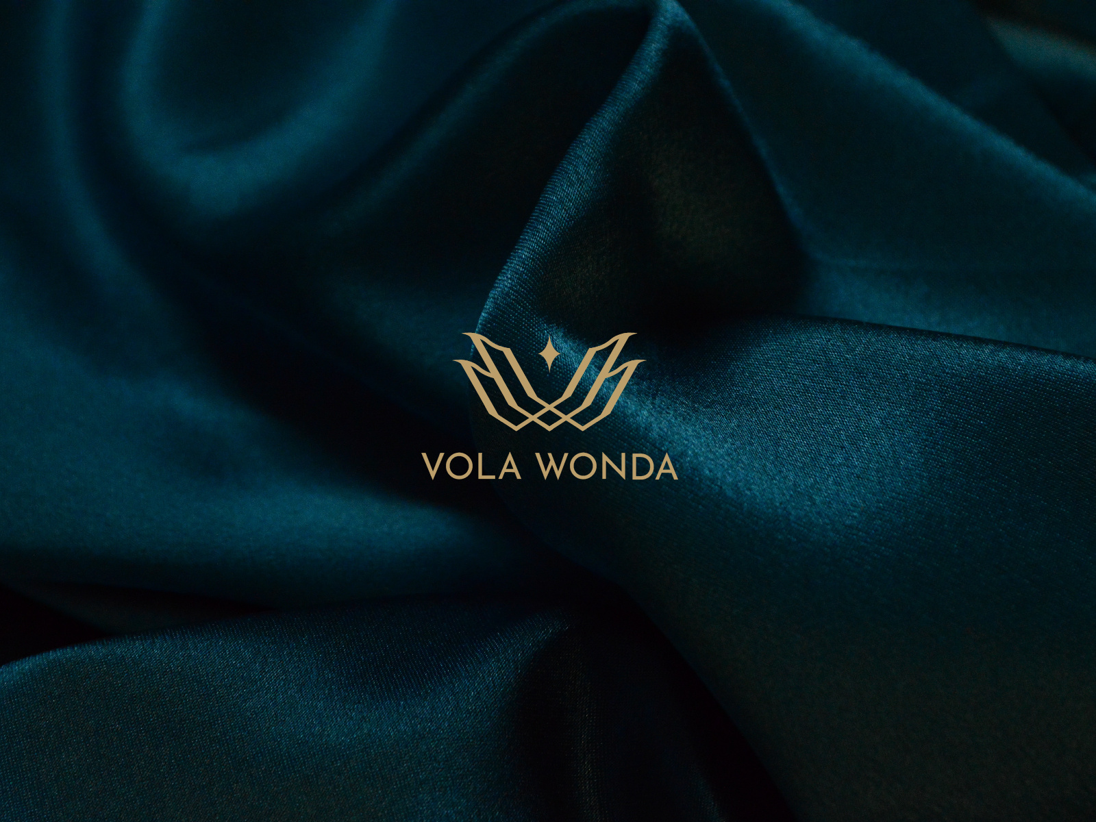 Letter VW Fashion Logo by rezaren - Logo Designer on Dribbble