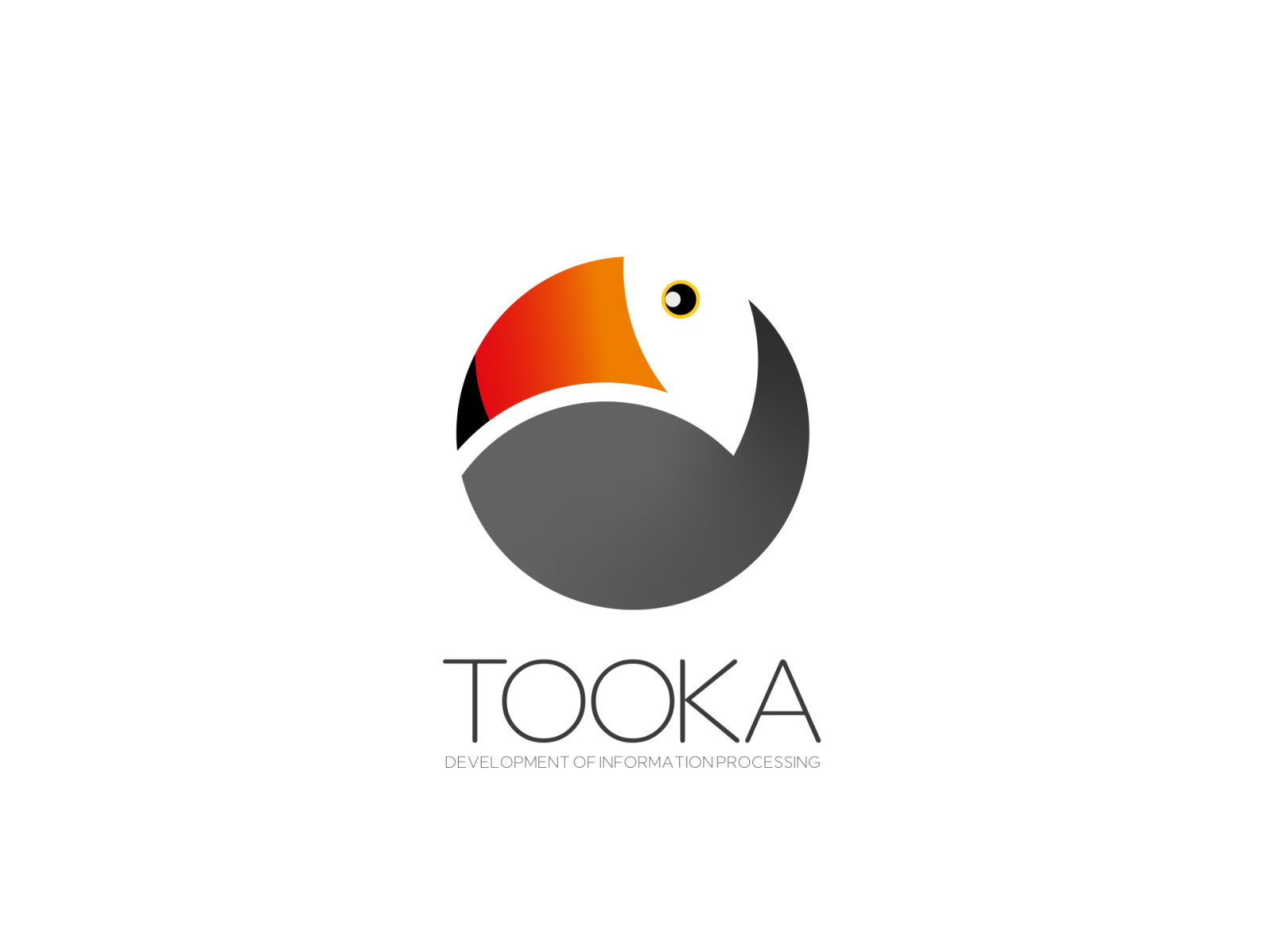 Logo design and visual identity of "TOOKA" collection by AMIRHO3EIN ...