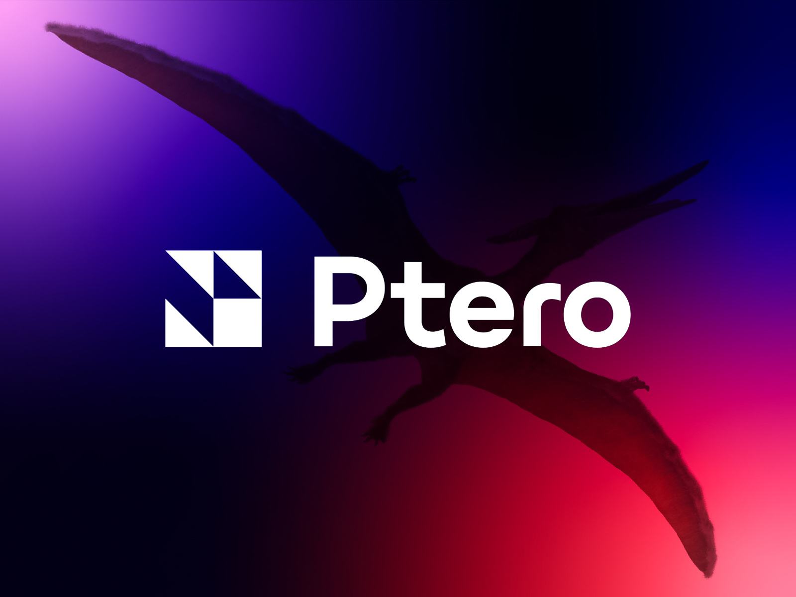 Ptero Dinosaur Logo Design by LogoSolve on Dribbble