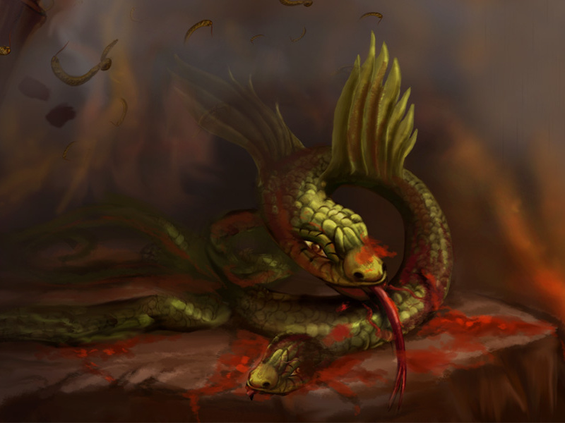 Dragon by Asma on Dribbble