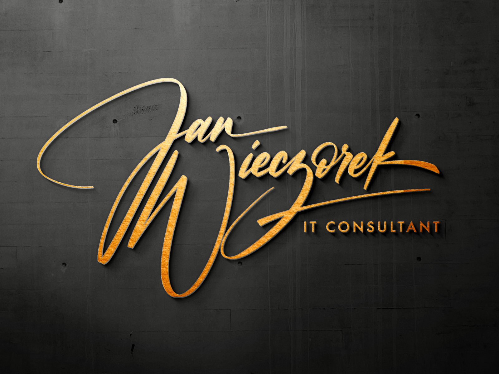Calligraphy Signature Logo by qha qha on Dribbble