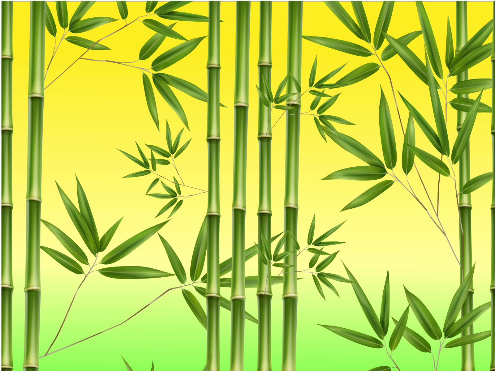 BAMBOO PATTERN DESIGN by Diana Sulistiana on Dribbble