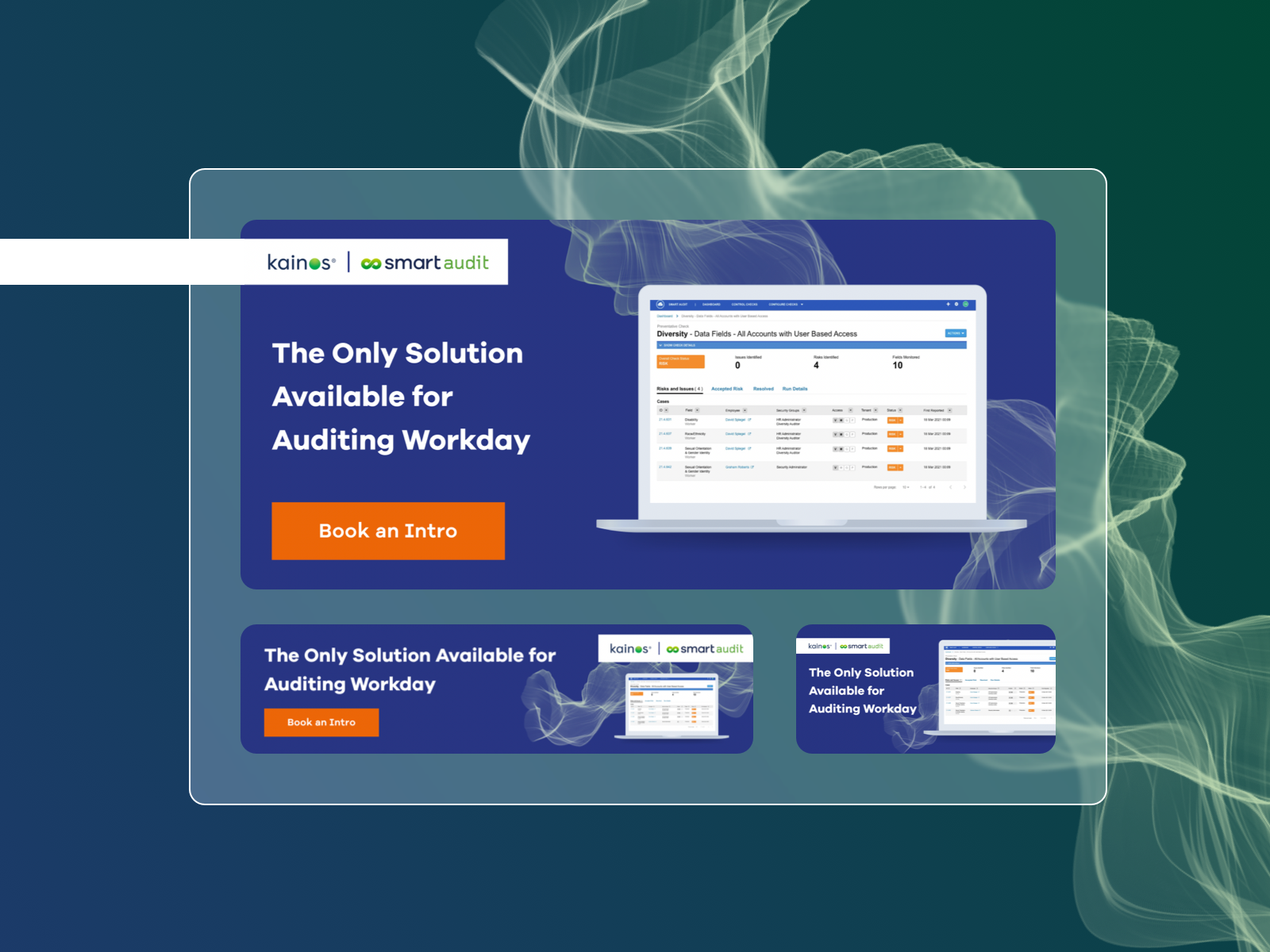 Smart Auditing Software | Ads by Sarah Coleman for Directive on Dribbble