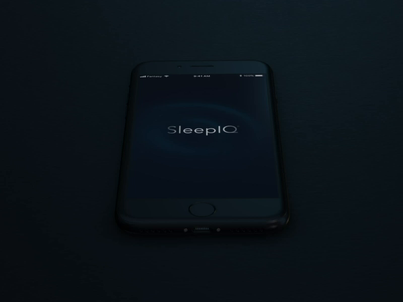 SleepIQ by Fantasy by Minh Pham for FΛNTΛSY on Dribbble