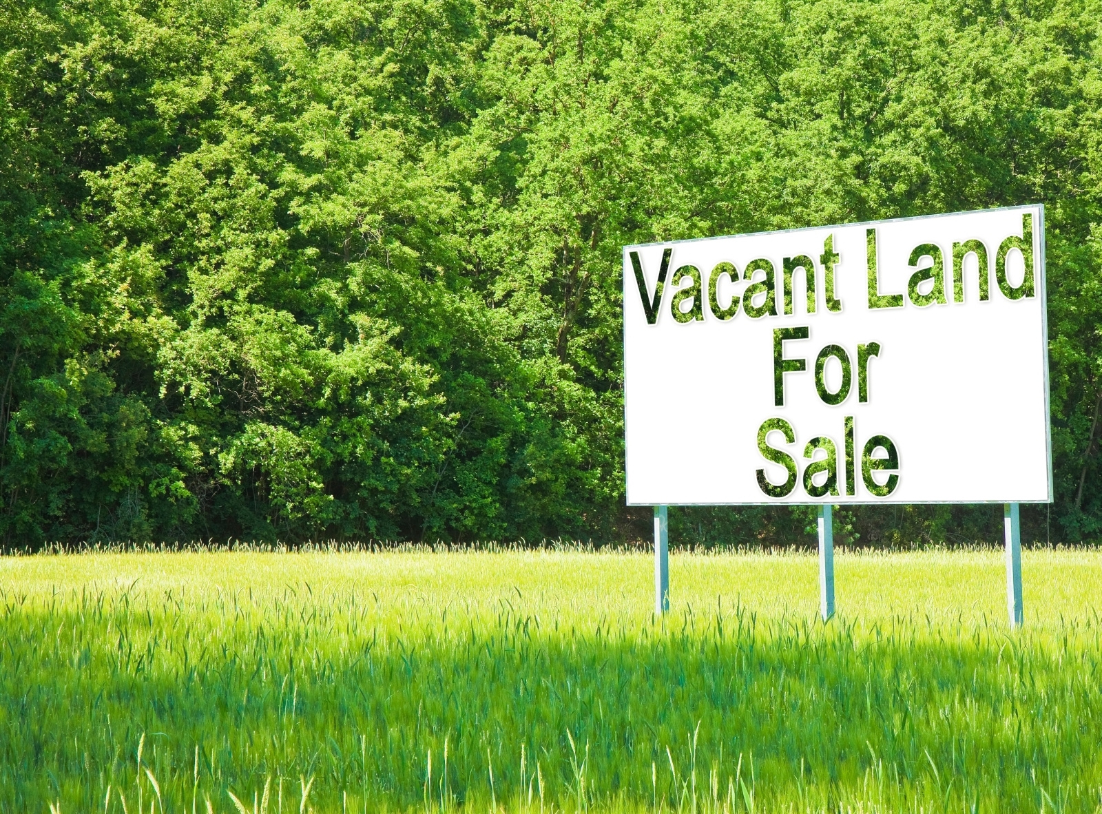 Top 100 Land For Sale In Geelong By Icracker On Dribbble top-100-land-for-sale-in-geelong-by-icracker-on-dribbble