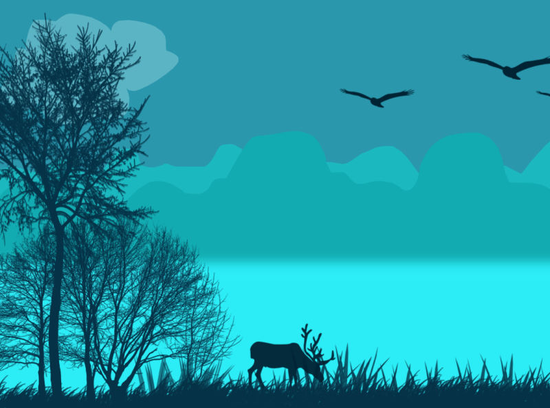 Land with Animal by Kanij on Dribbble