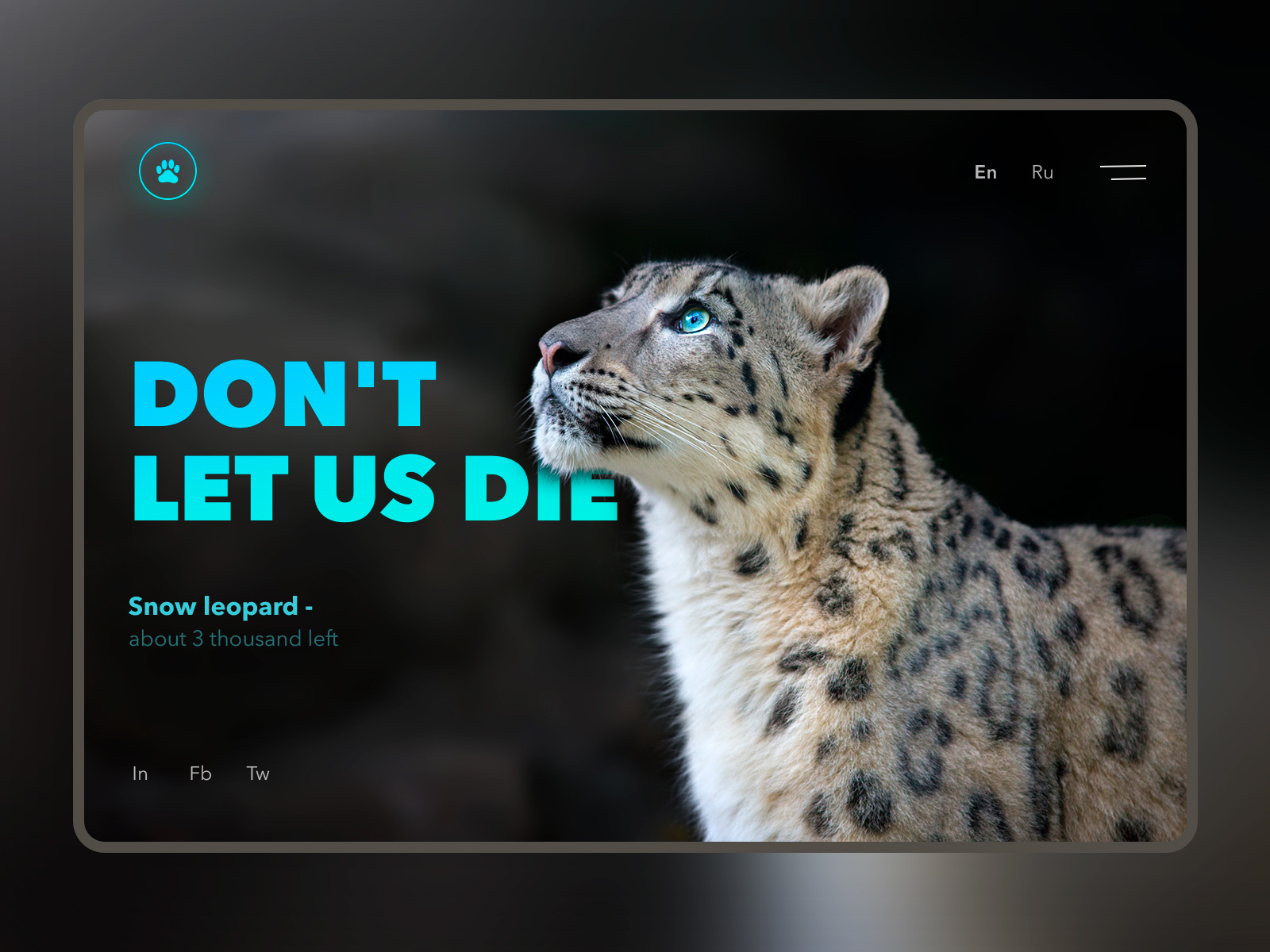 Animal protection project by Ekaterina Busheiko on Dribbble