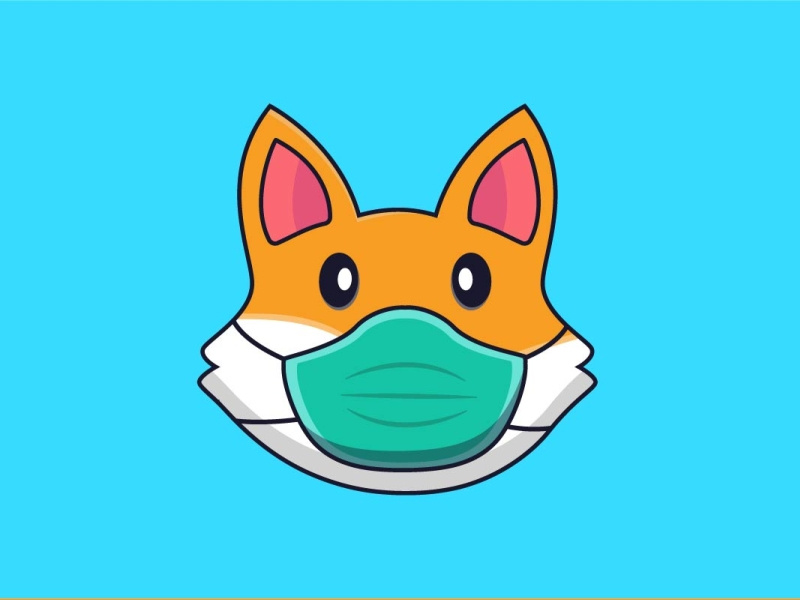 Fox with mask by Designer-Develovy on Dribbble