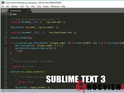 Download Sublime Text 3 full crack by Học viện itvn on Dribbble