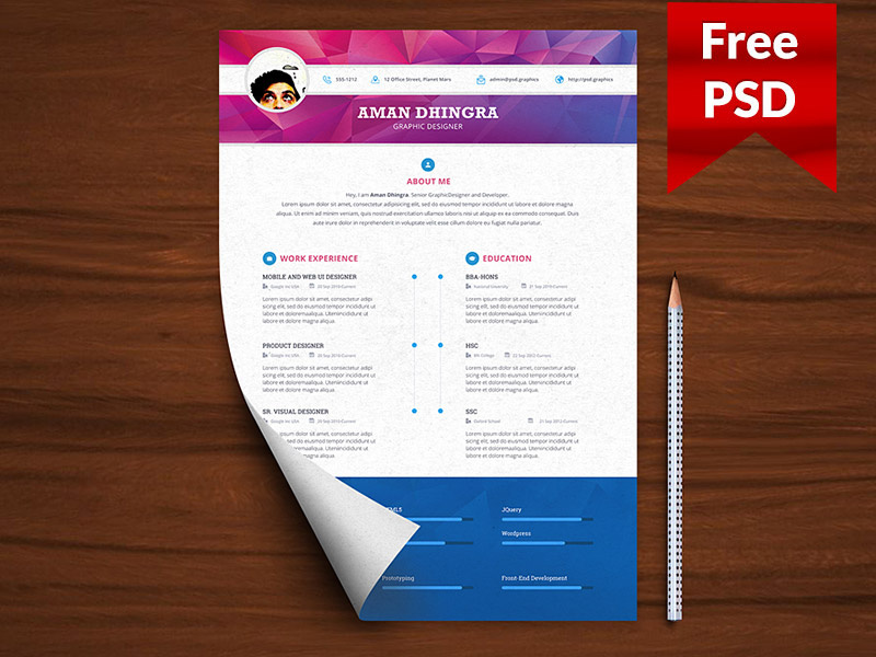 Professional Cv Template Free Download Contoh Gambar Template