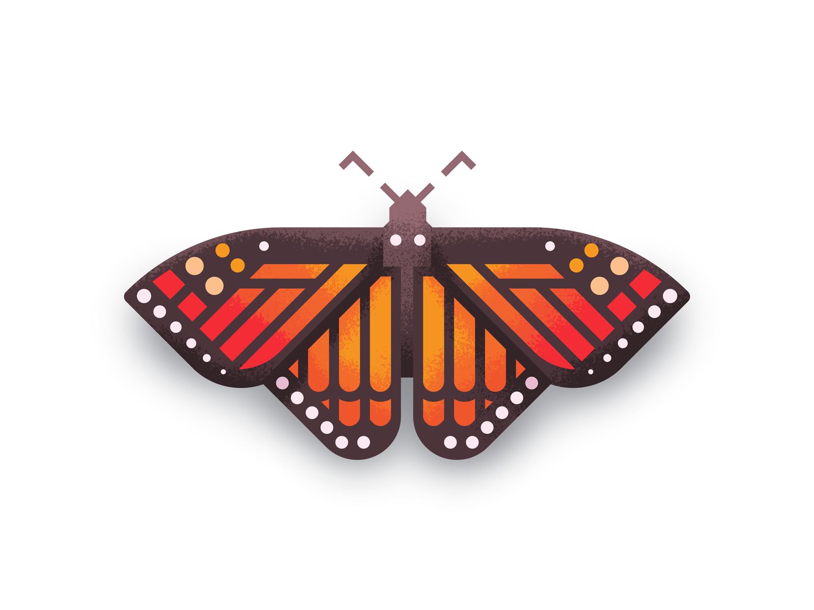 Dribbble - butterflies_monarch_texture.png by Tatiana O'Toole (Bischak)