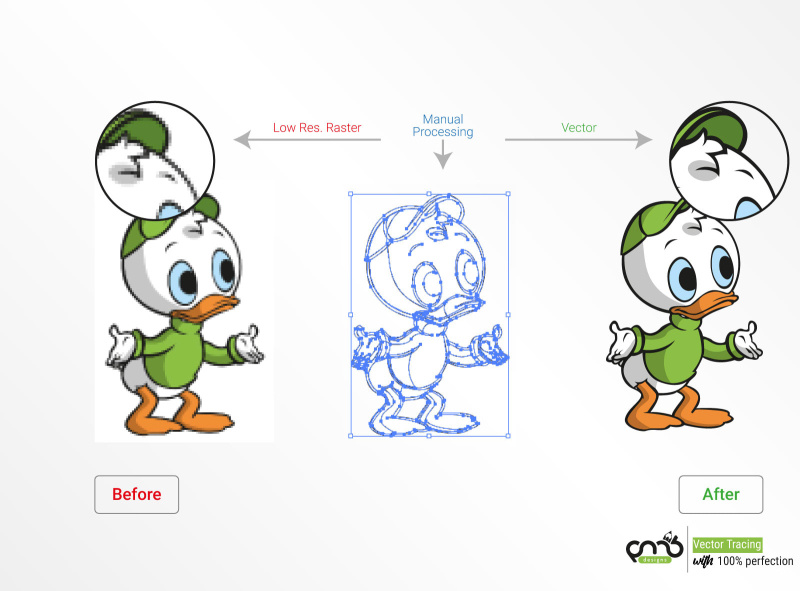 Vector Tracing by Pranta Ghosh on Dribbble