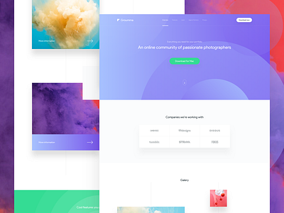 Groumma Landing Page by Serhiy Ozhibko on Dribbble