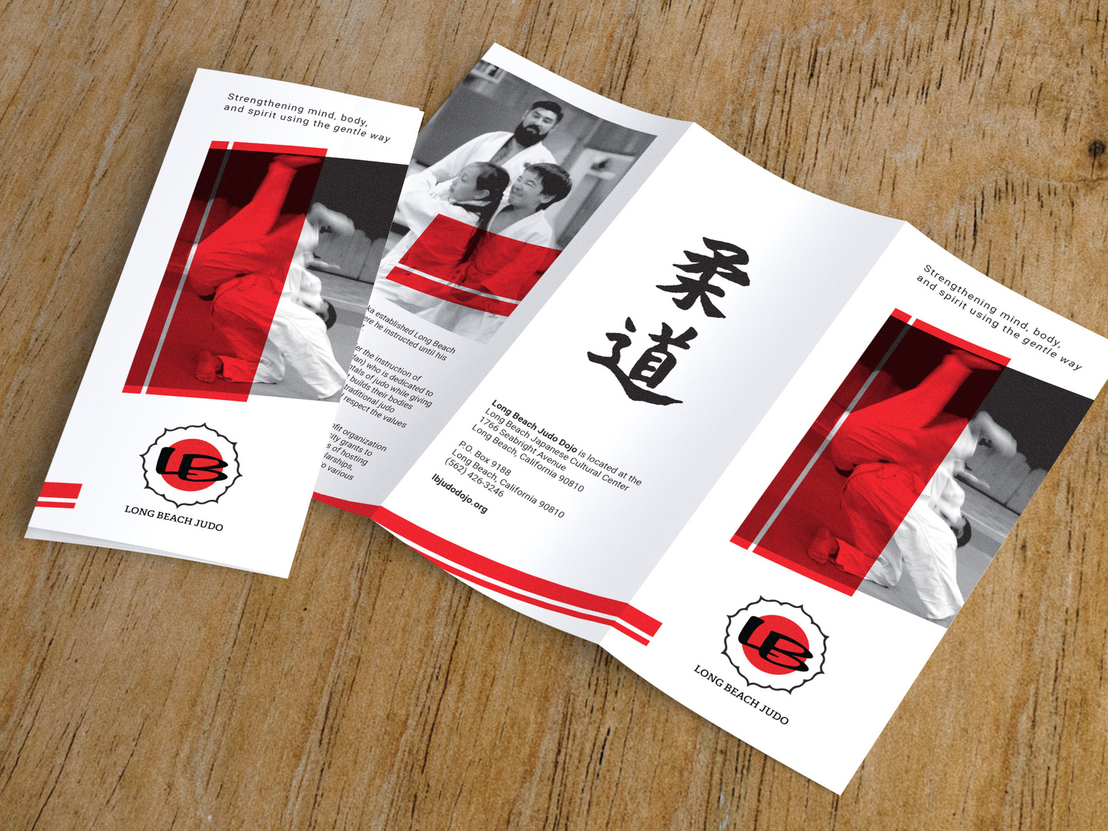 Judo Dojo Trifold Brochure by Dave Conrey on Dribbble