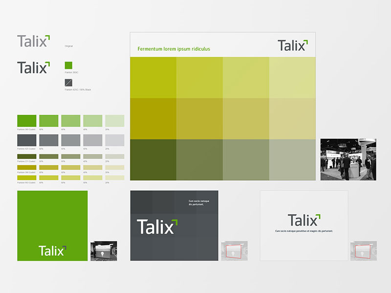 Talix by Barretto-Co. on Dribbble