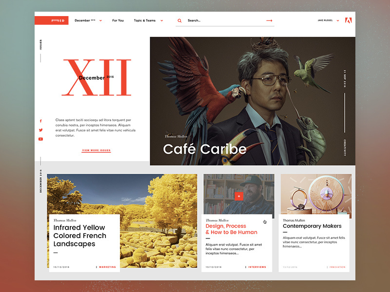 Blog platform by Kuba Bogaczynski on Dribbble